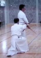 Uchida ryu tanjojutsu